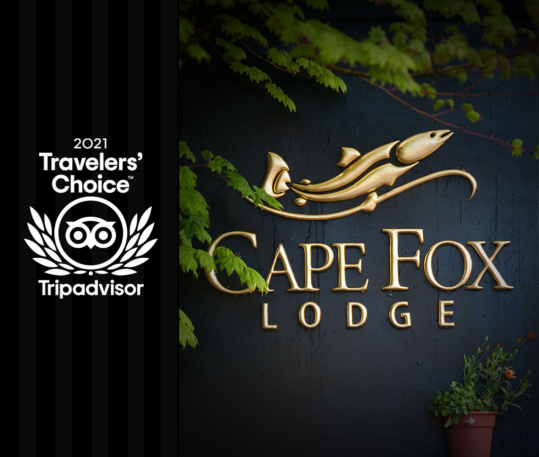 Cape Fox Lodge is a 2021 Travelers’ Choice Award Winner from ...